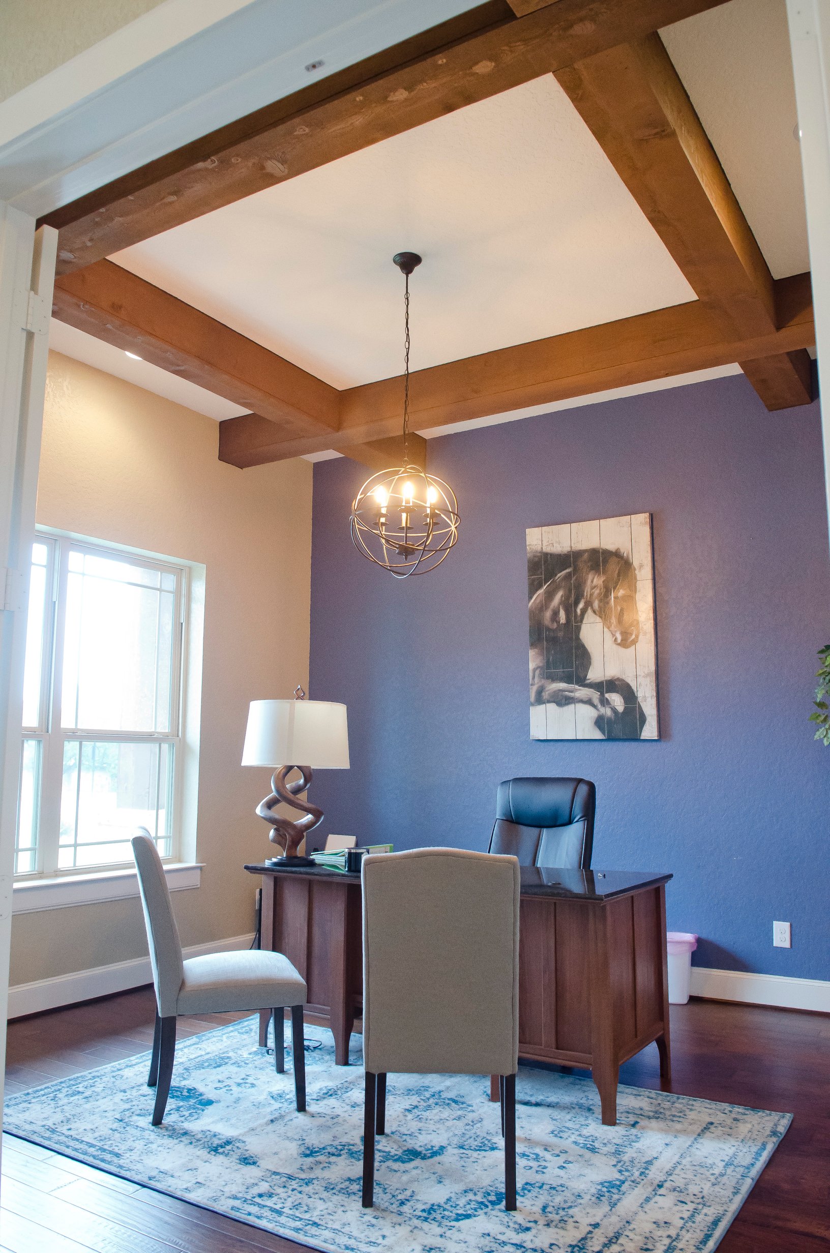 Specialty Ceilings & Ceiling Treatments